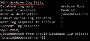 Oracle Database Archive Log Mode設定方法 – 21點情報網
